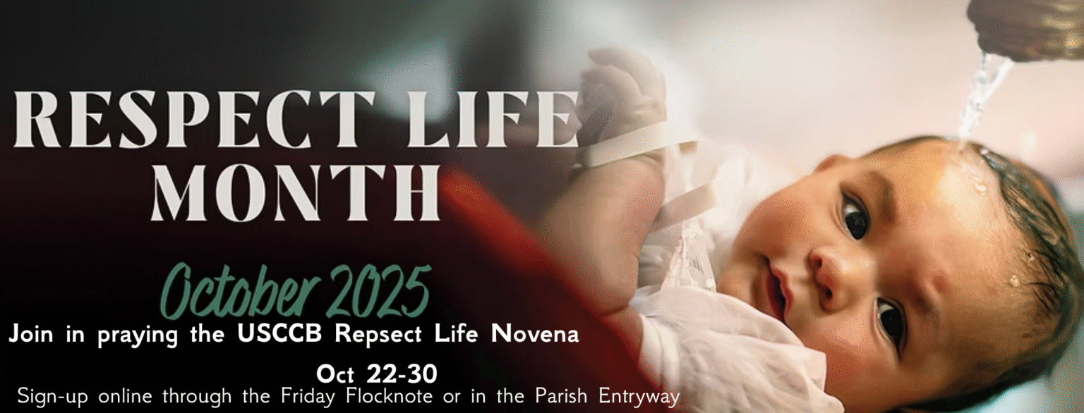 Respect Life Novena – ST. MARY OF THE HILL PARISH